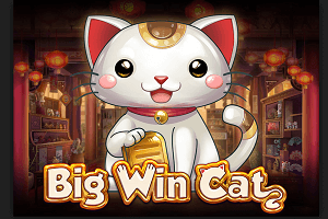 Big Win Cat Slot Game - Play N' Go - Review & Rating