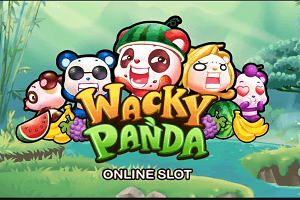 Wacky Panda Slot Game - Microgaming - Review & Rating